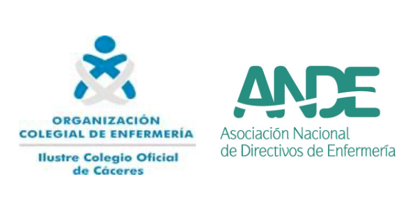 XI PREMIO DE INVESTIGACIÓN EN GESTIÓN DE ENFERMERÍA DE ANDE Y EL ...